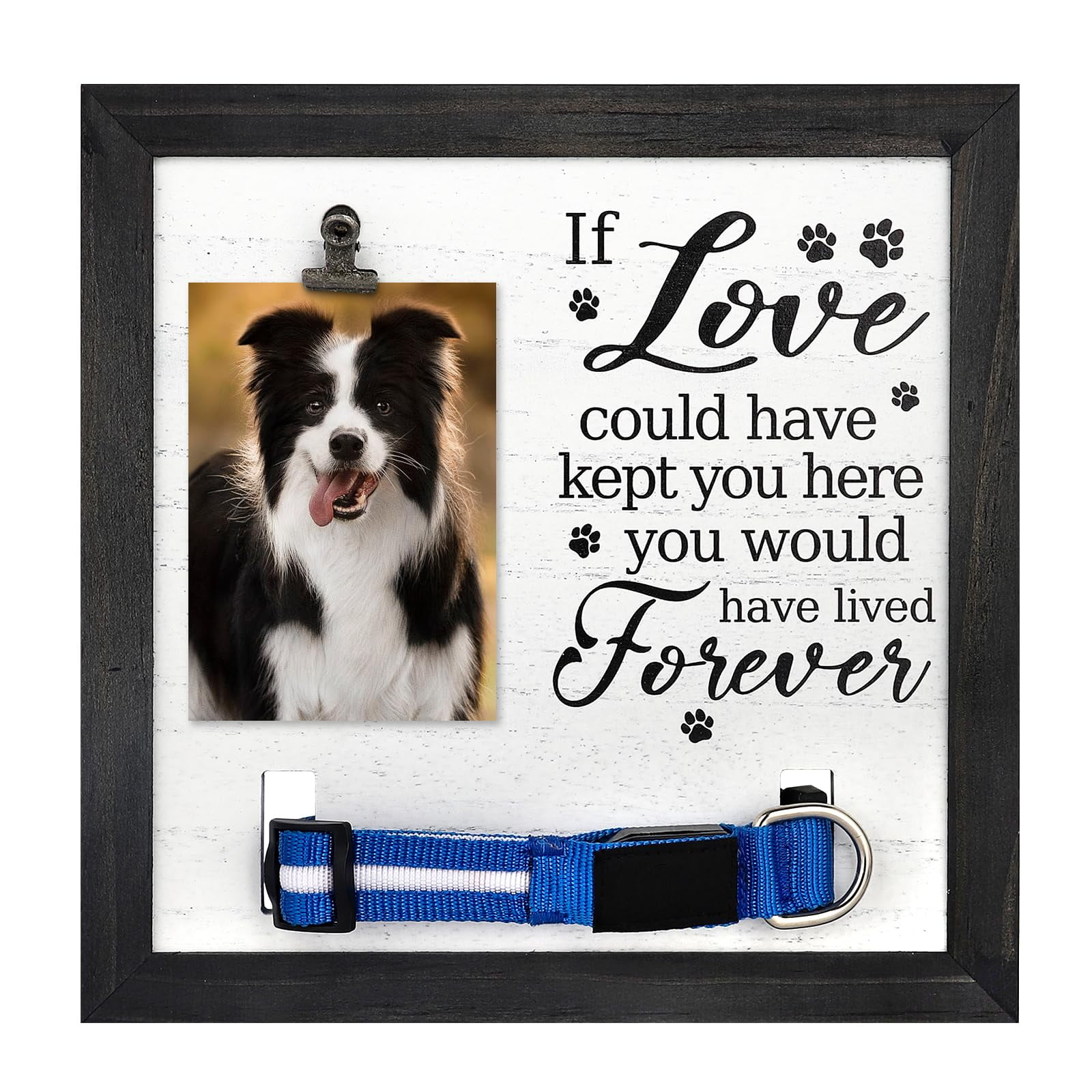 MEIPAIXUAN Pet Memorial Frame - Pet Memorial Gifts - Cat Memorial - Dog ...