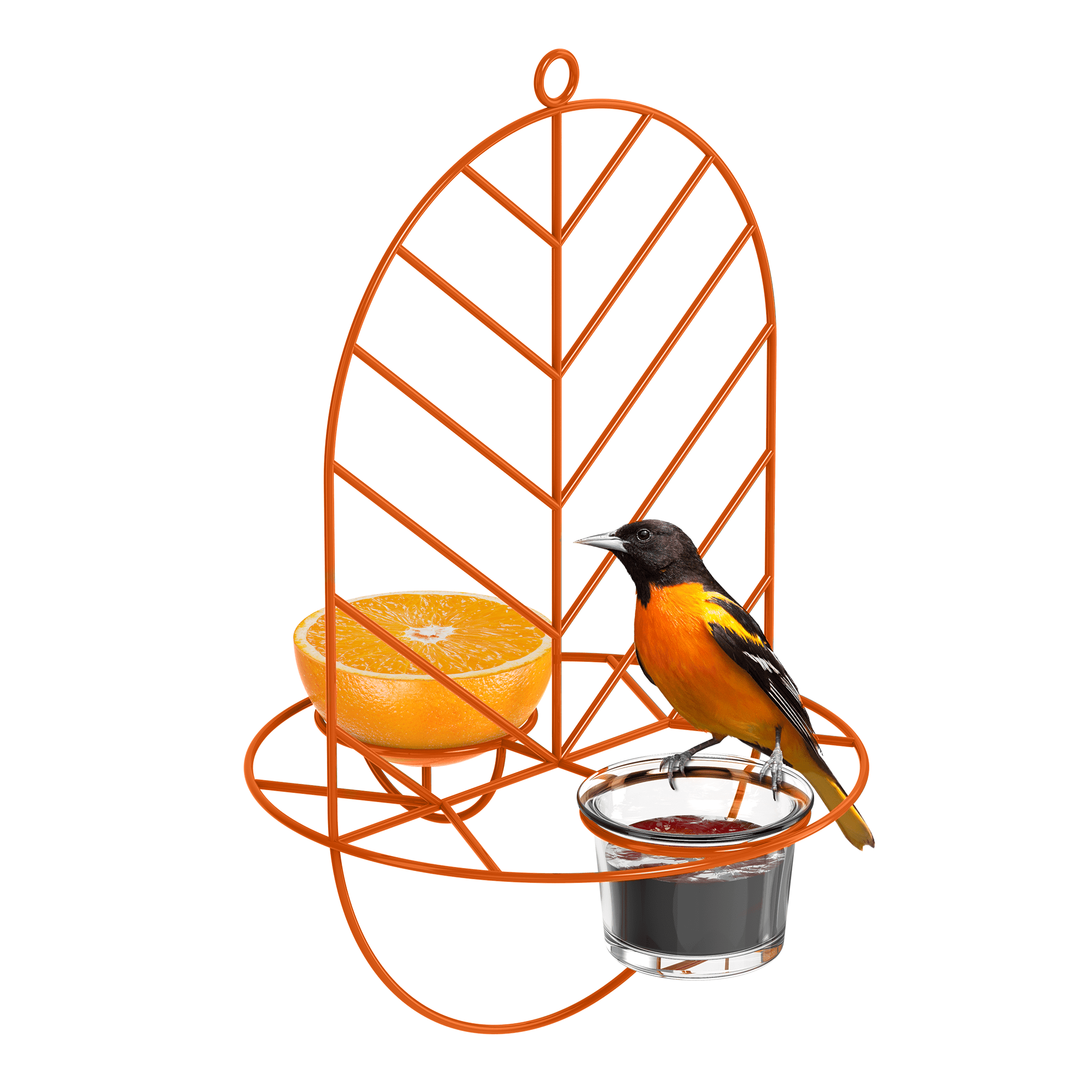 MEKKAPRO Leaf Oriole Bird Feeder, Dual Jelly Orange Feed (Orange ...