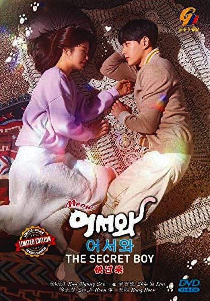 MEOW, THE SECRET BOY Korean DVD - TV Series (NTSC) - Walmart.com
