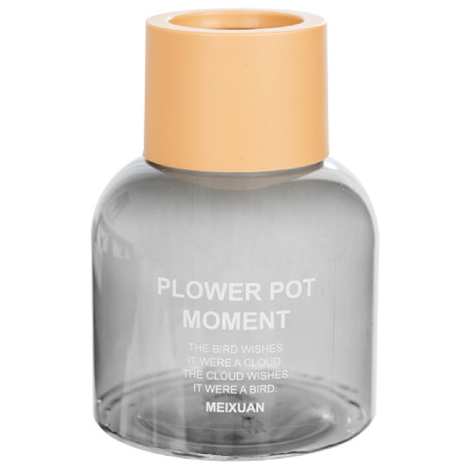 MERILER Self-Watering Transparent Plastic Flower Pot - Indoor Water ...