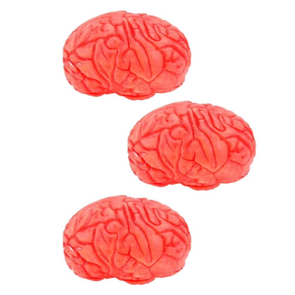 MERRYHAPY 3Pcs Simulated Brains Model Realistic Style For Scary Props ...