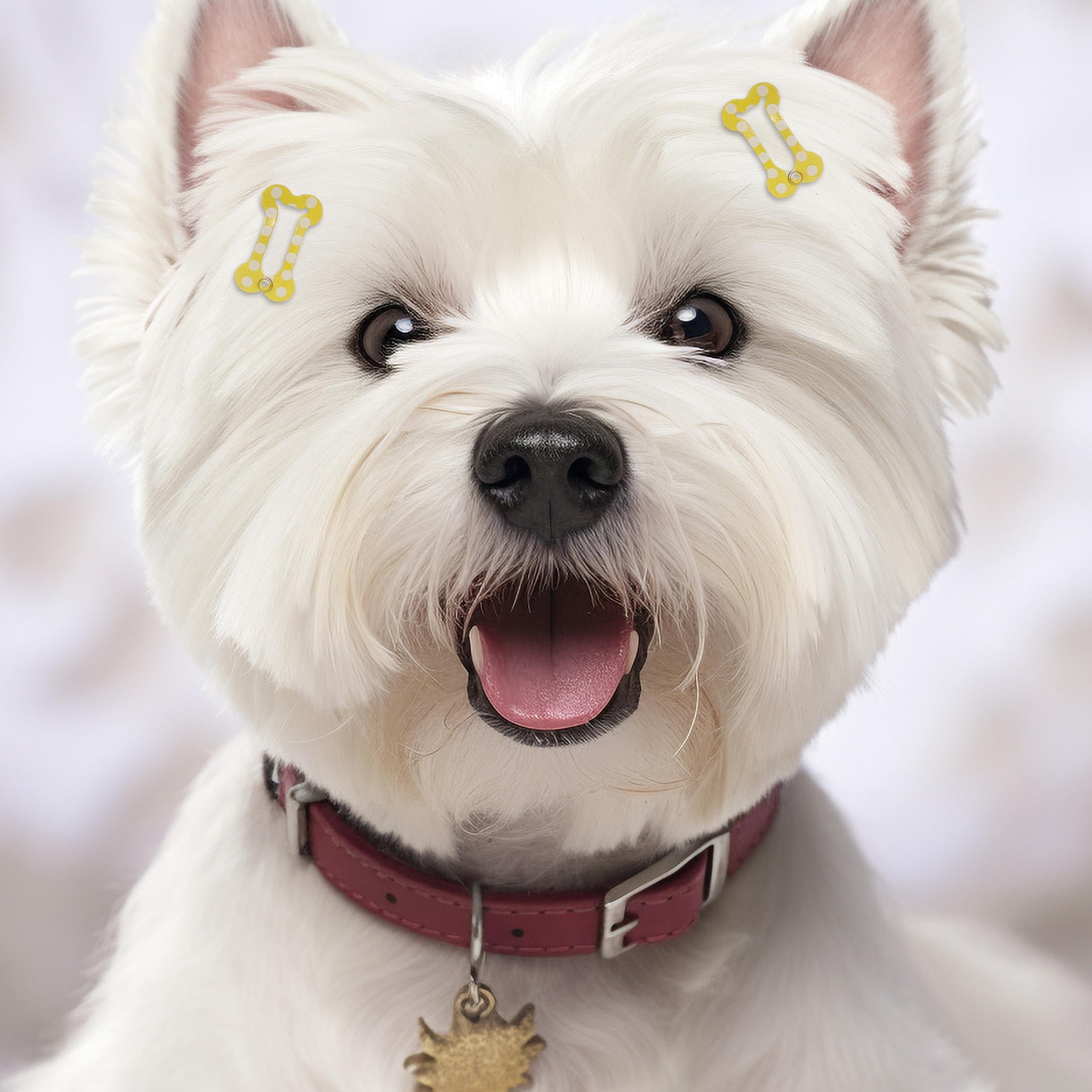 MERRYHAPY Pet Hair Clips for Dog Use Multi Color Metal Accessories 20 ...