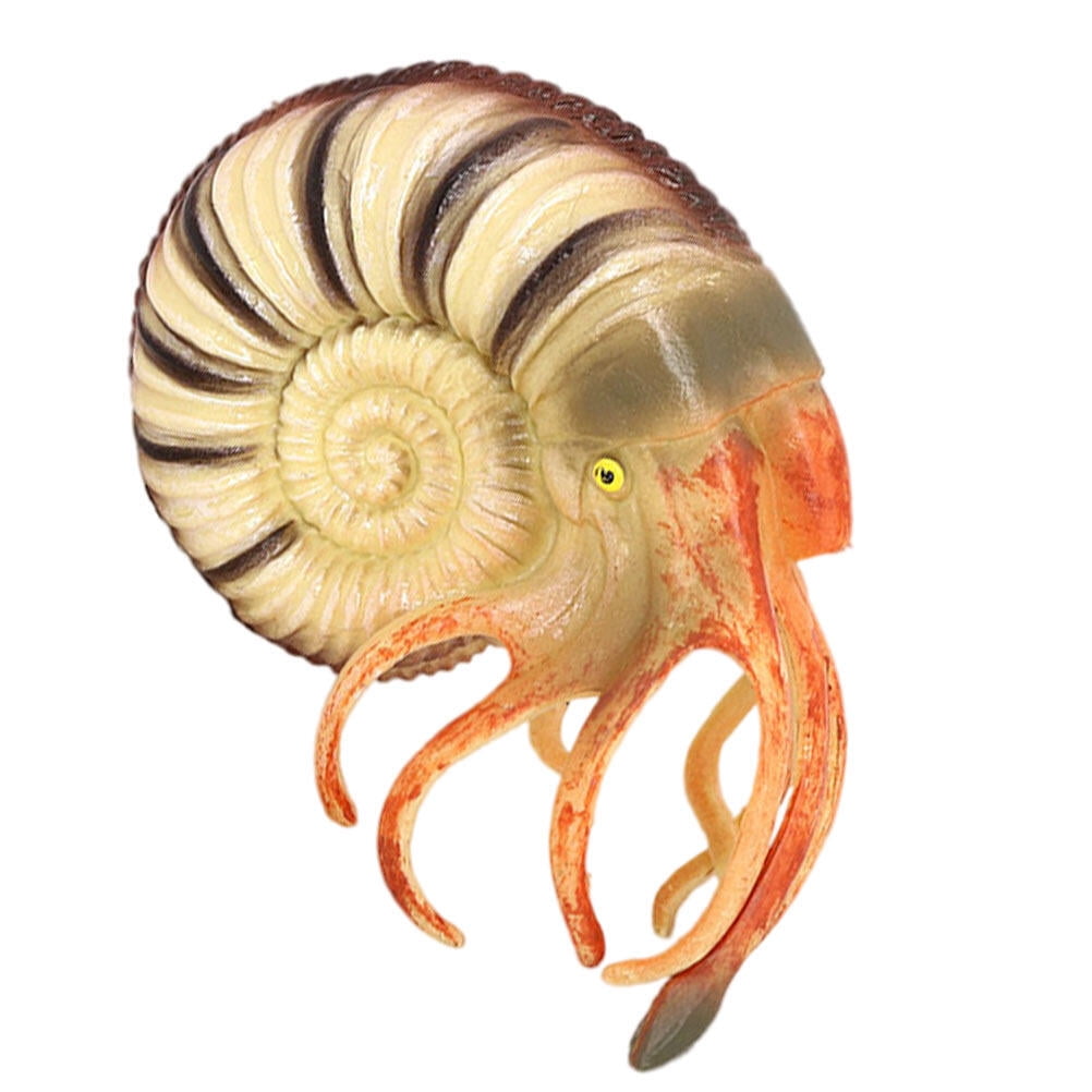 MERRYHAPY Realistic Sea Life Figurine Set for Educational Ocean Animal ...