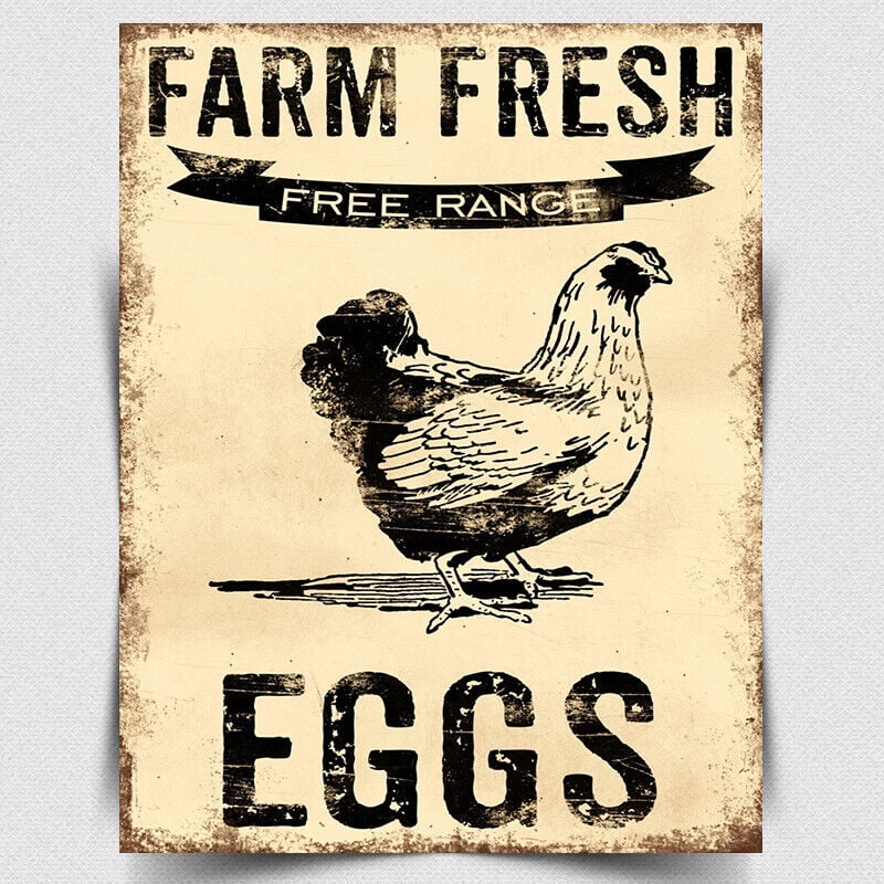 METAL WALL SIGN PLAQUE FARM FRESH FREE RANGE EGGS Kitchen cafe Vintage ...