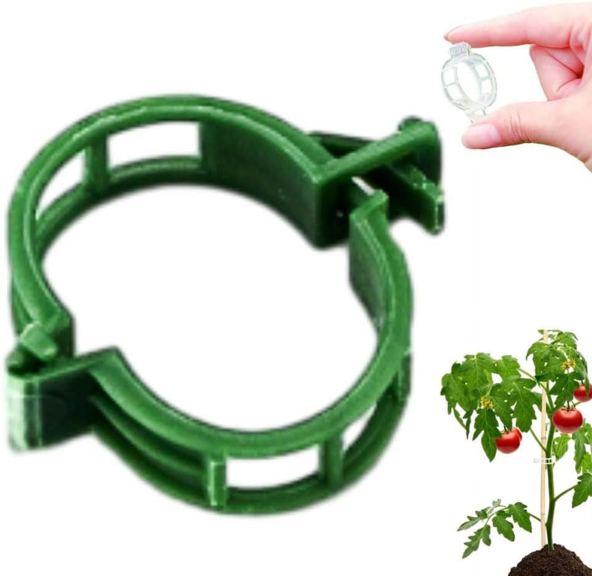 MEUDQU Secured Plastic Plant Clip, 100/150/300 PCS Plant Fixing Clips ...