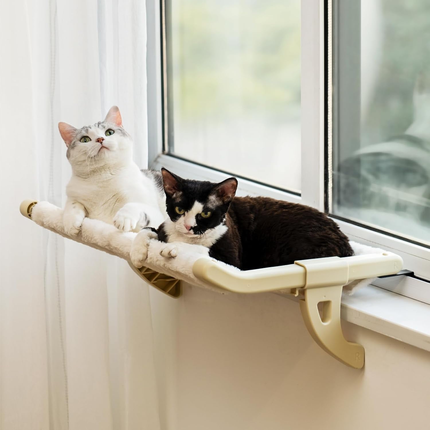 MEWOOFUN Cat Hammock Window Cat Bed Window Sill for Cats - 50 x 36 cm ...