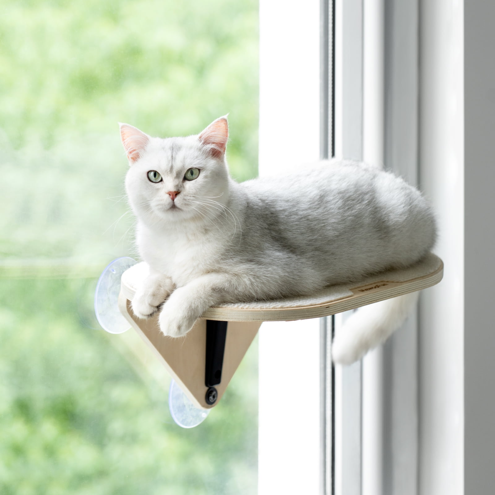 MEWOOFUN Cat Window Perch Hammock Wooden with Strong Suction Cup - Cat ...