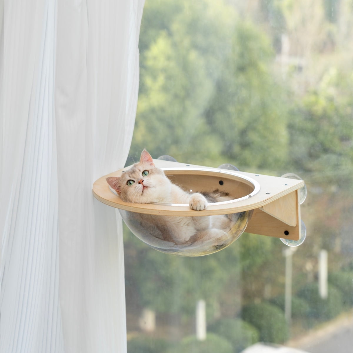 MEWOOFUN Cat Window Perch Steinway Cat Window Capsule Hammock, Wood ...