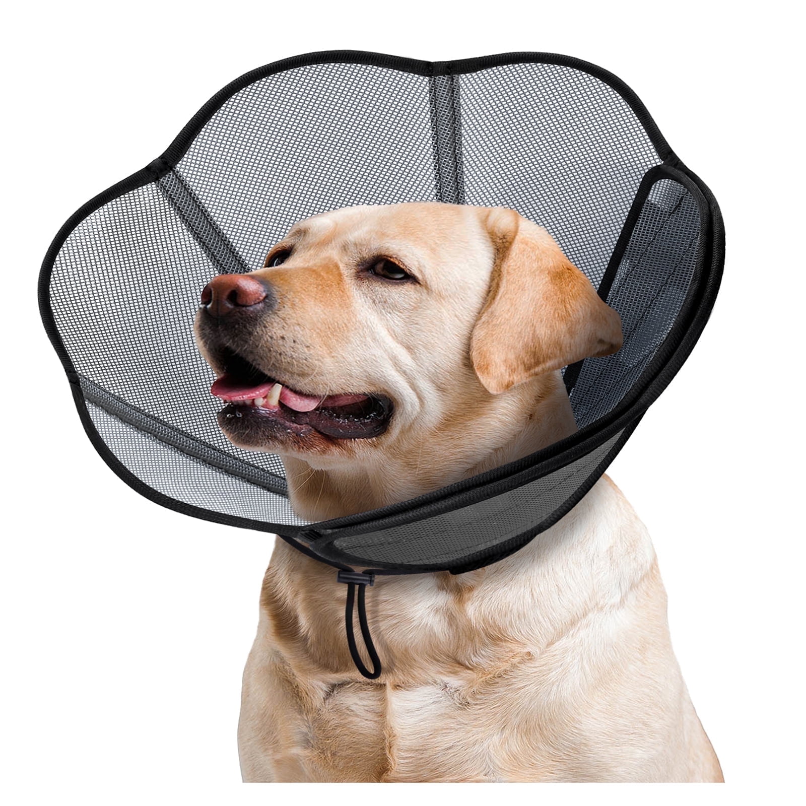 MIDOG Adjustable PVC Resin Elizabethan Collar, Protective Recovery Cone ...