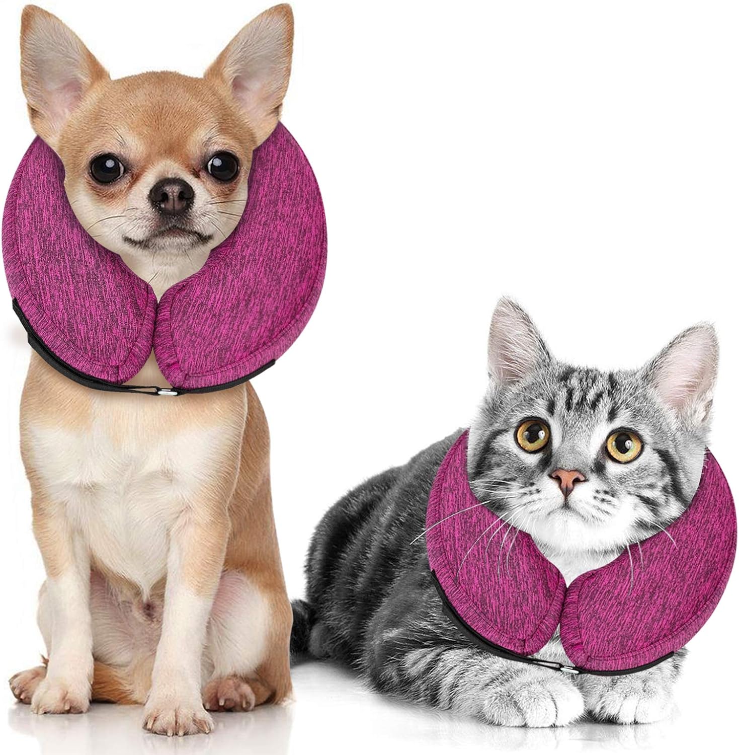 Dog Donut Collar | Great Alternative to a Traditional Dog Cone or a ...