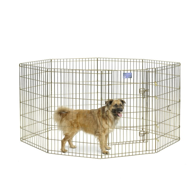 Free Shipping! MIDWEST GOLD ZINC EXERCISE PEN 36IN - Walmart.com