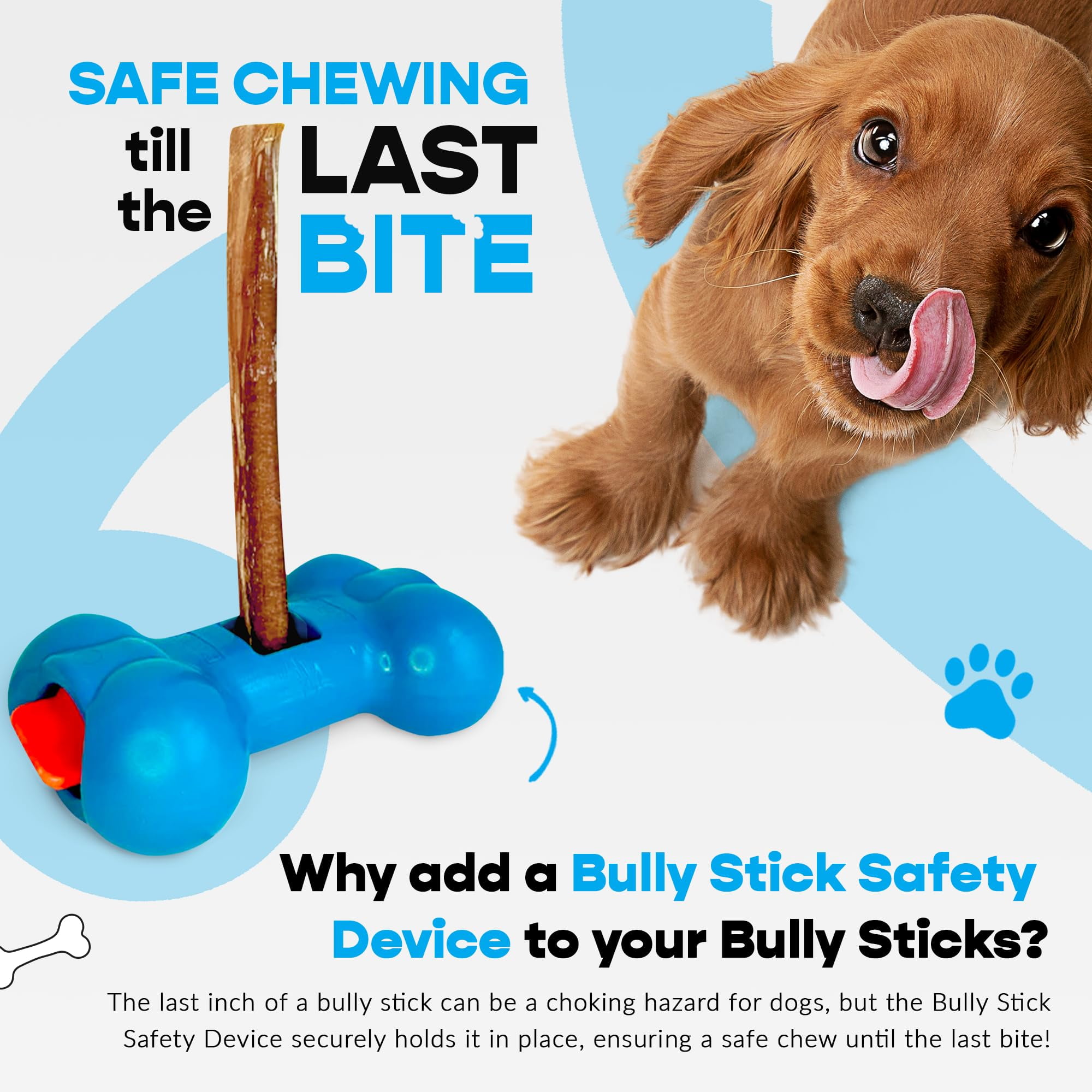 MIGHTY CHEWZ 7" Standard Bully Sticks (100 H2FSDPack) with Bully Stick ...