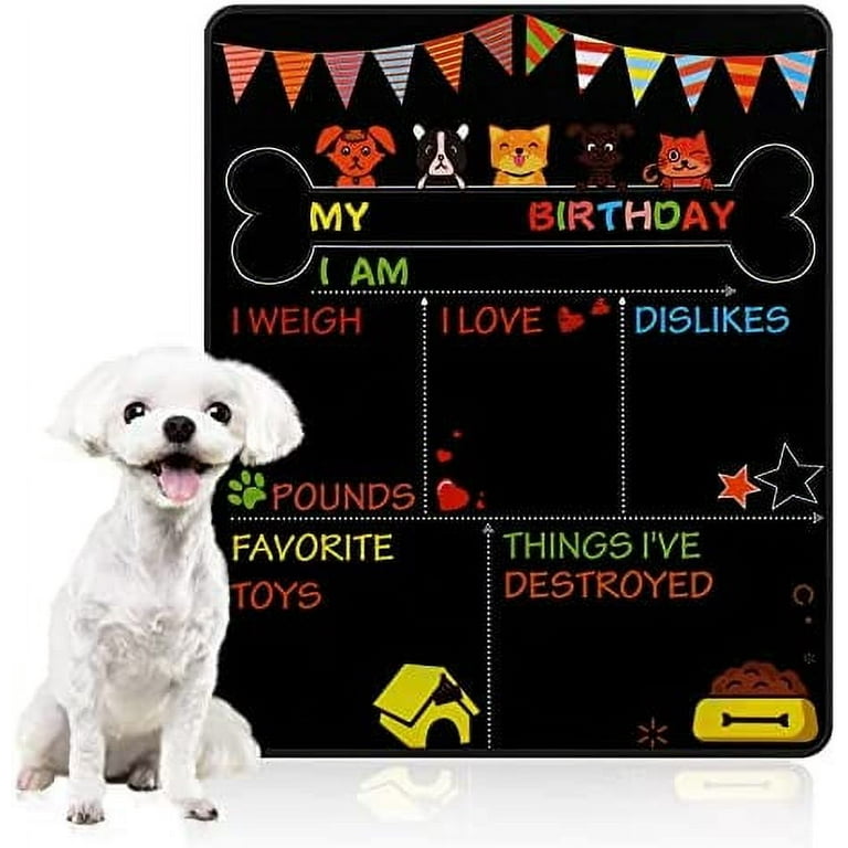 Monthly Birthday Signs