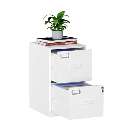 MIIIKO 2 Drawer Filing Cabinet with Lock, Metal Vertical File Cabinets ...