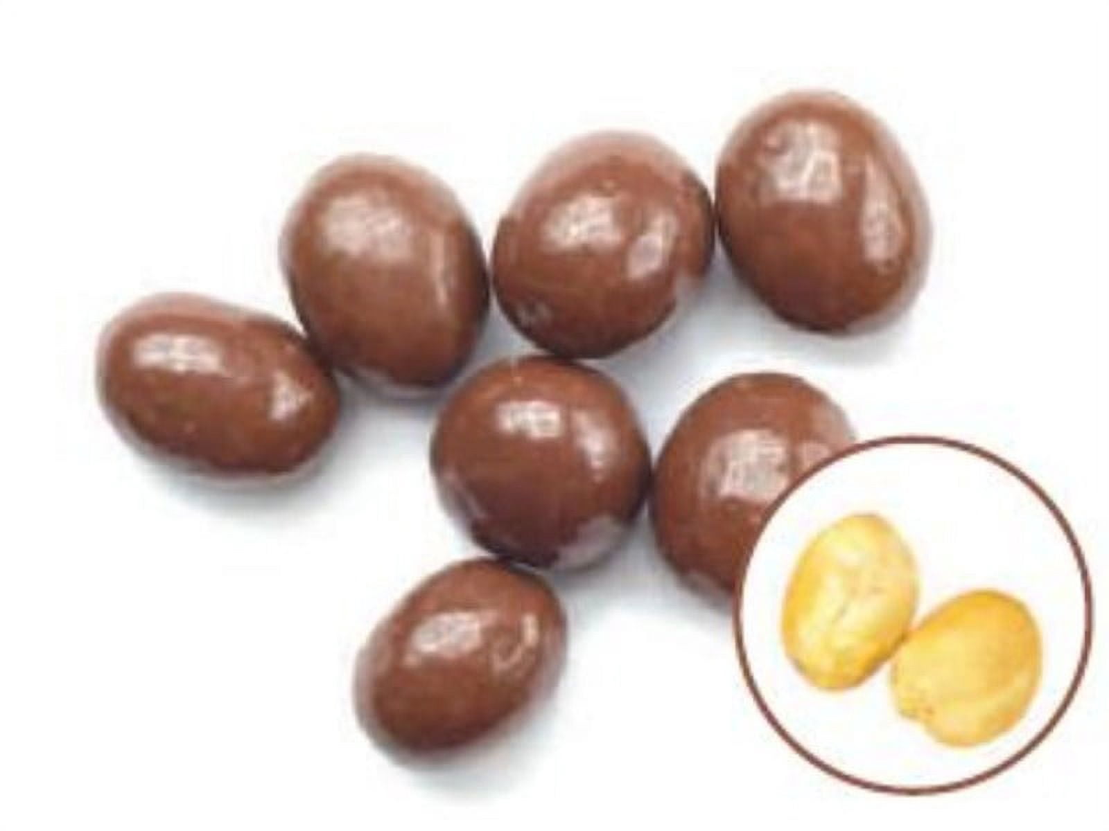 MILK CHOCOLATE PEANUTS - Walmart.com