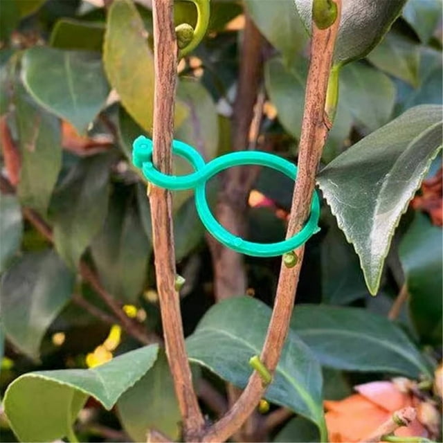 MINGFENGS 200 Pack Reusable Plant Support Clips - Heavy Duty Garden ...