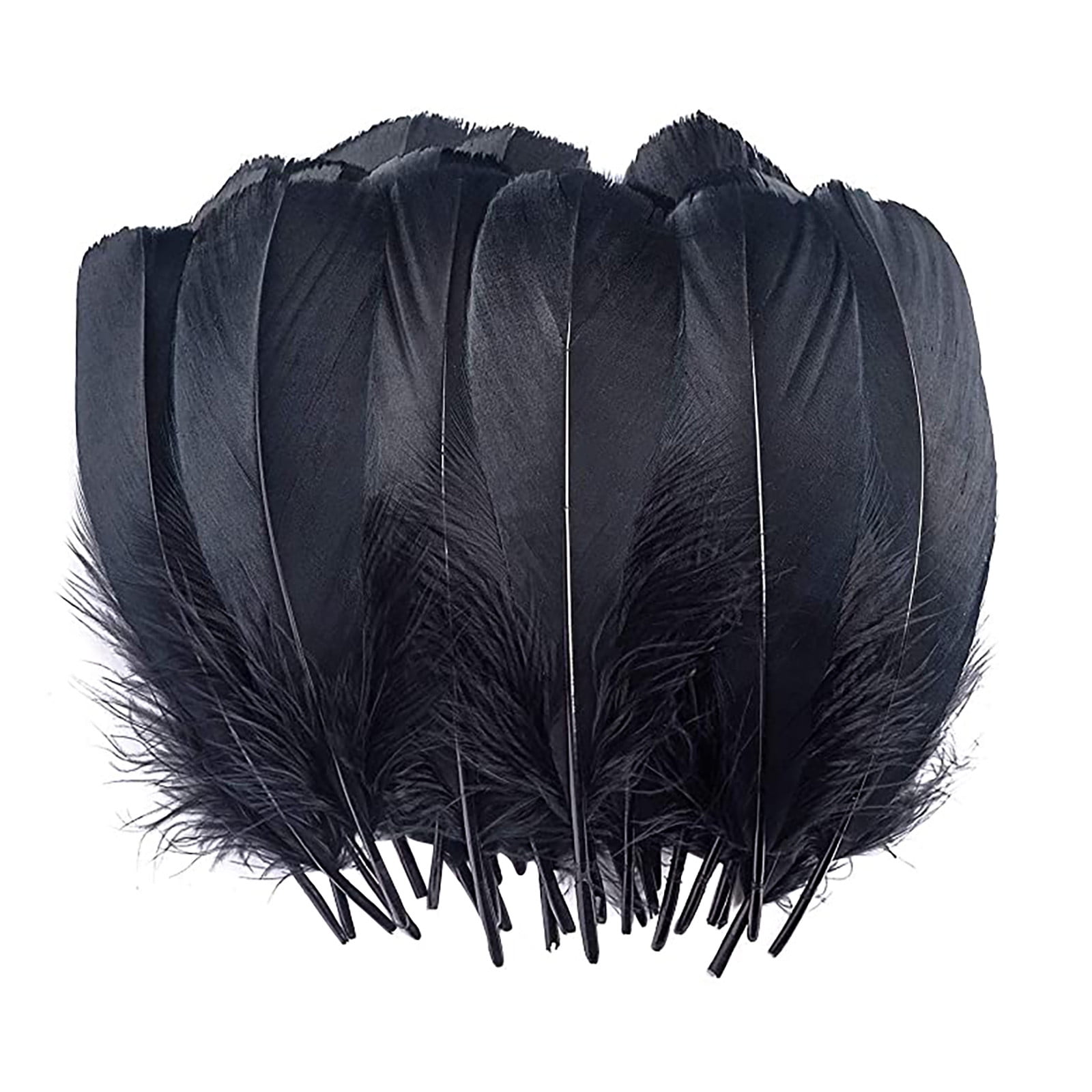 MINGFENGS Premium Black Goose Feathers Bulk 6 8 Inch Natural Craft ...
