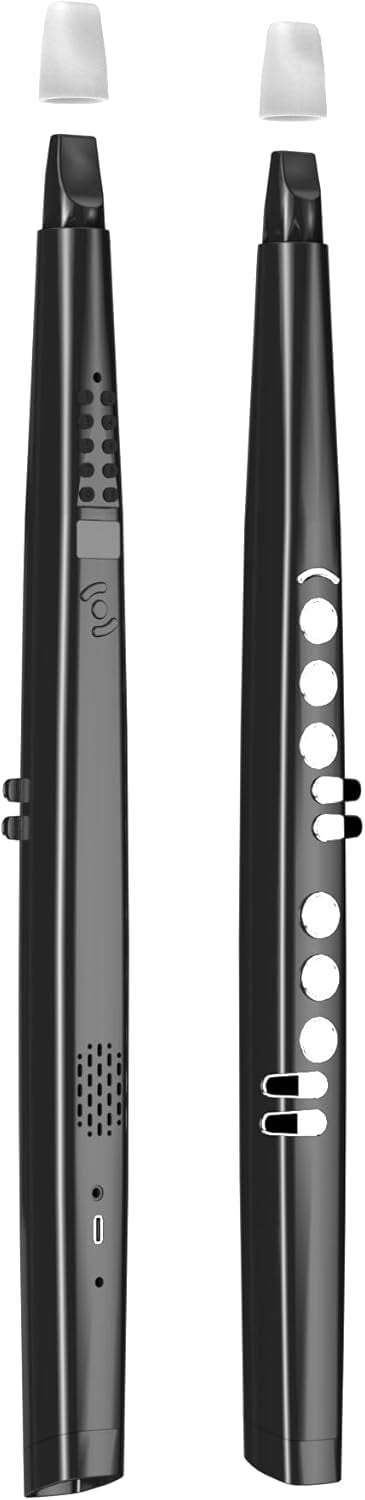 MINI Smart Electronic Blowpipe, with 13 Different Tones, Built-in ...