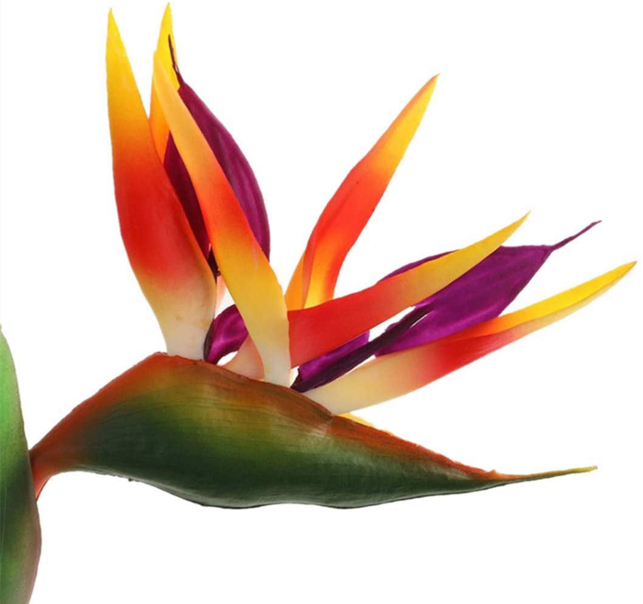 MINKUROW Artificial Flowers,Artificial Heaven Bird Plant,Bird of ...