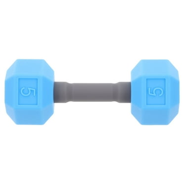 Gianna 20 lbs Hex Dumbbells with Rubber Coated, Hand Weights for ...