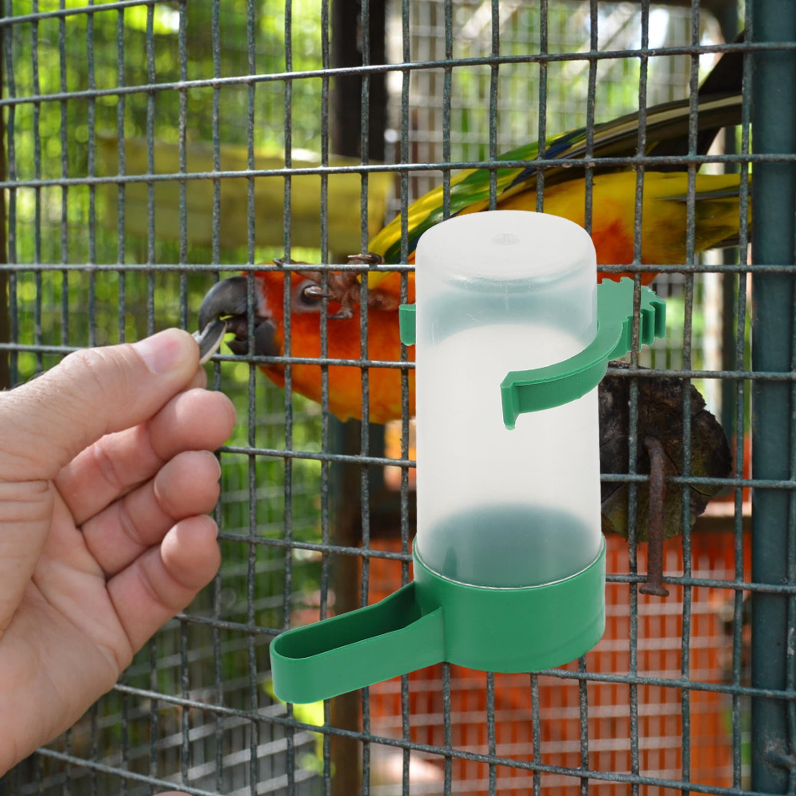 MIPCASE 10Pcs Automatic Bird Water Feeders Green Sturdy Pigeon Self ...