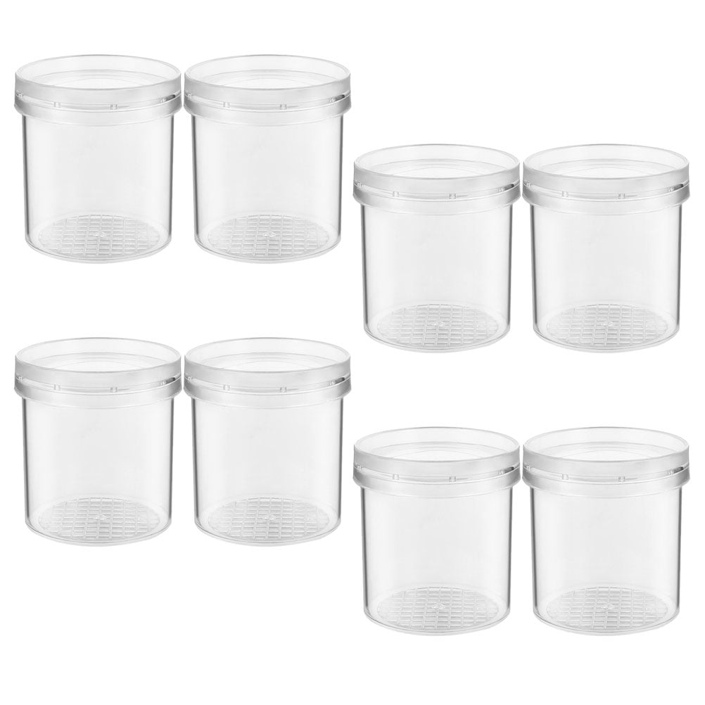 MIPCASE 8Pcs Magnifier Viewer Box Insect Observation Tool Transparent ...