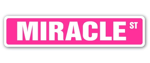 MIRACLE Street Sign Childrens Name Room Sign | Indoor/Outdoor | 36 ...