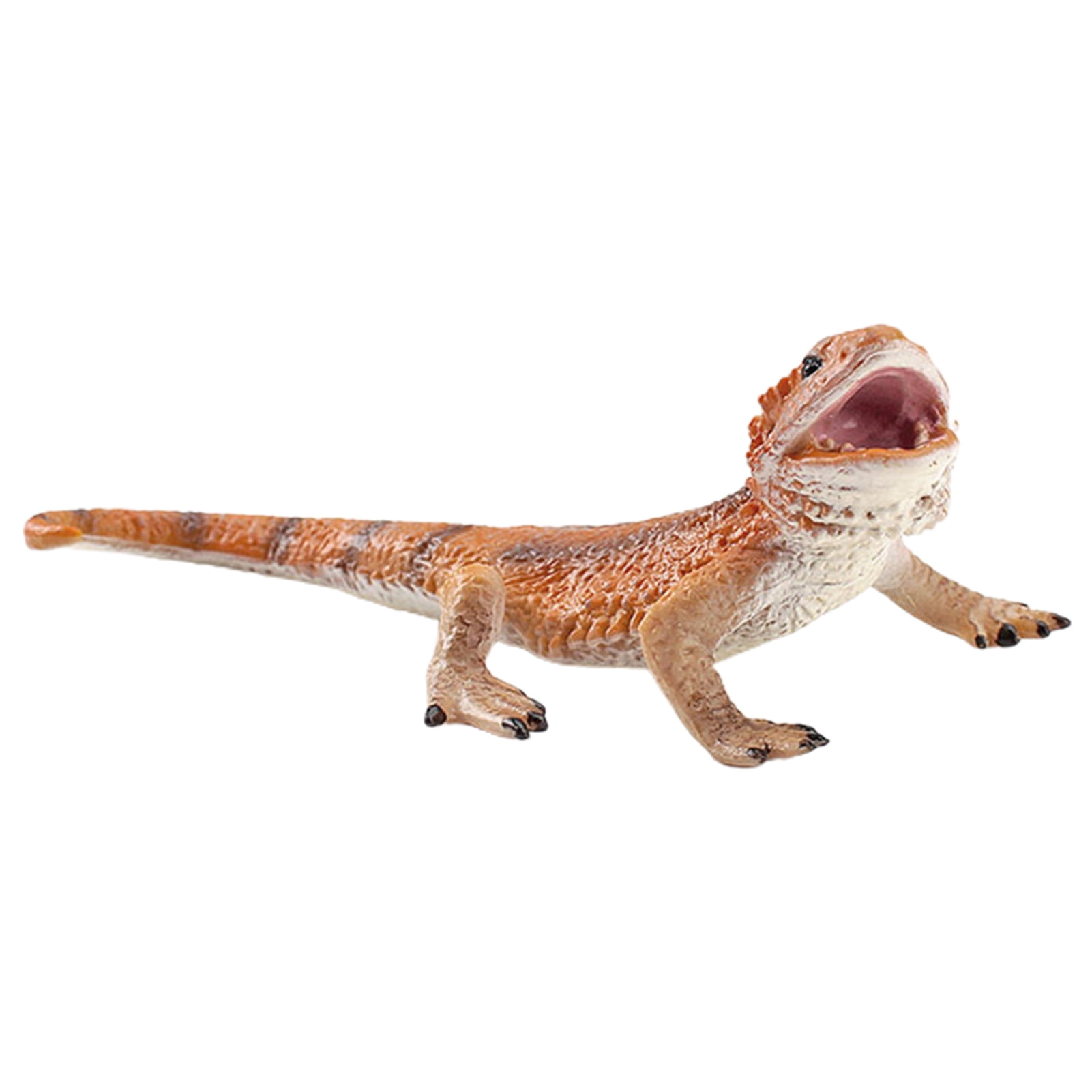 MIRROR Desert Forest Animals Cultivate Cognitive Ability Creative ...