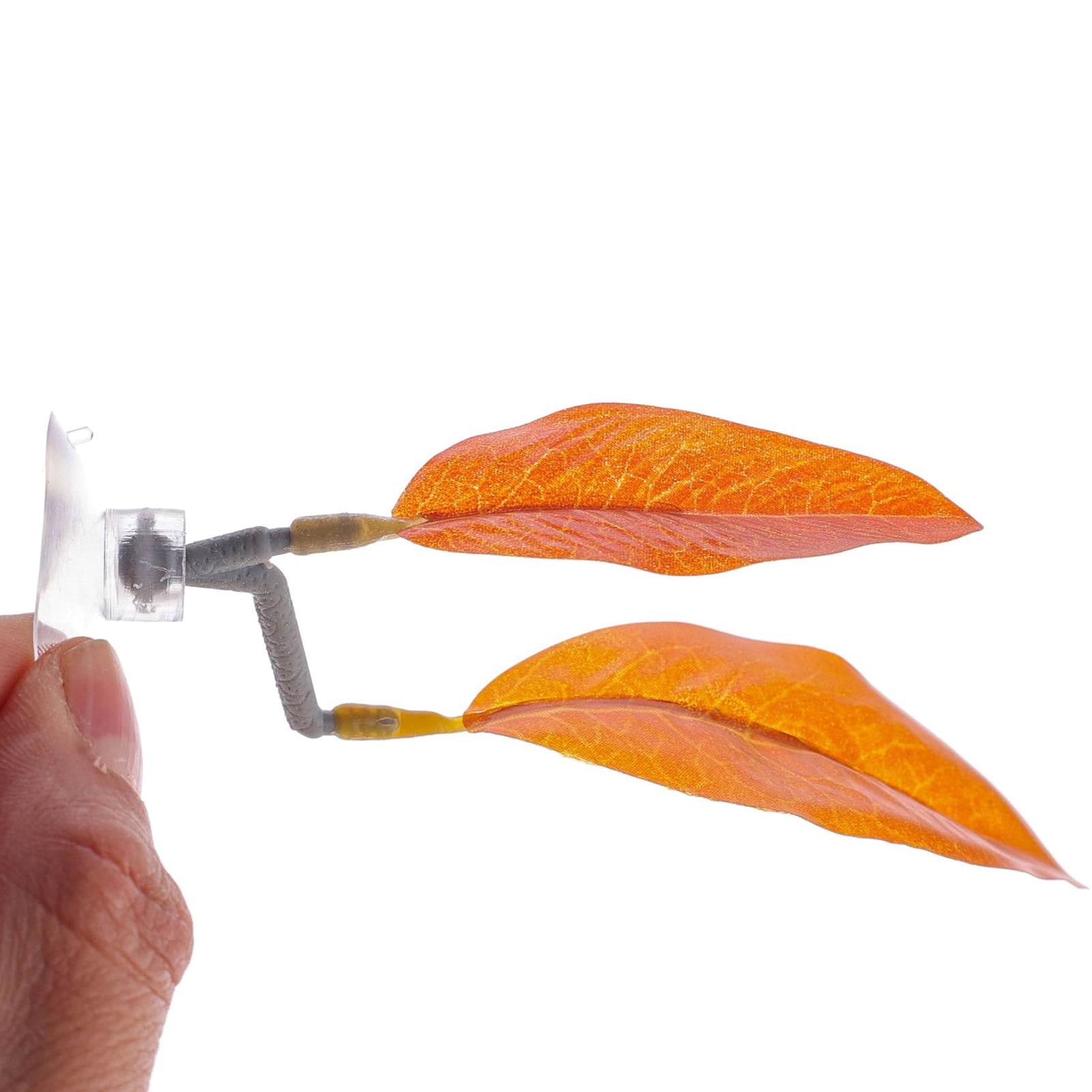 MIRROR Fish Tank Aquatic Plants Fighting Fish Resting Leaf High ...