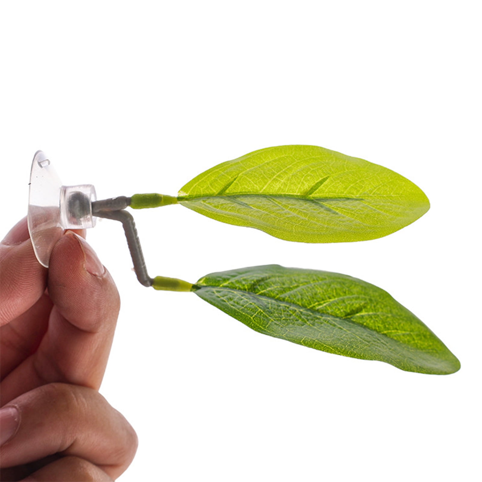 MIRROR Fish Tank Aquatic Plants Fighting Fish Resting Leaf High ...