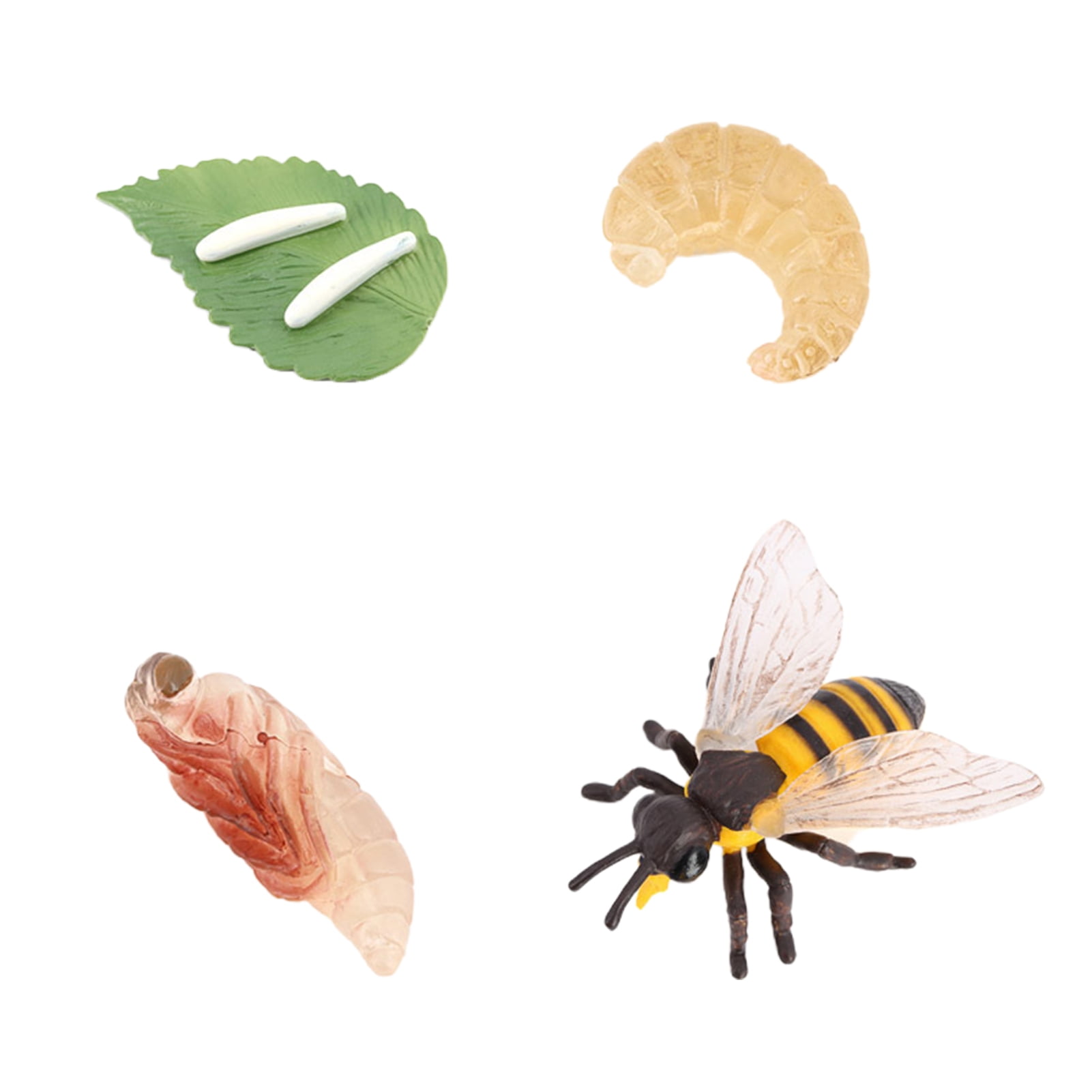 MIRROR Simulation Insect Model Butterfly Growth Cycle Figurine Kids ...