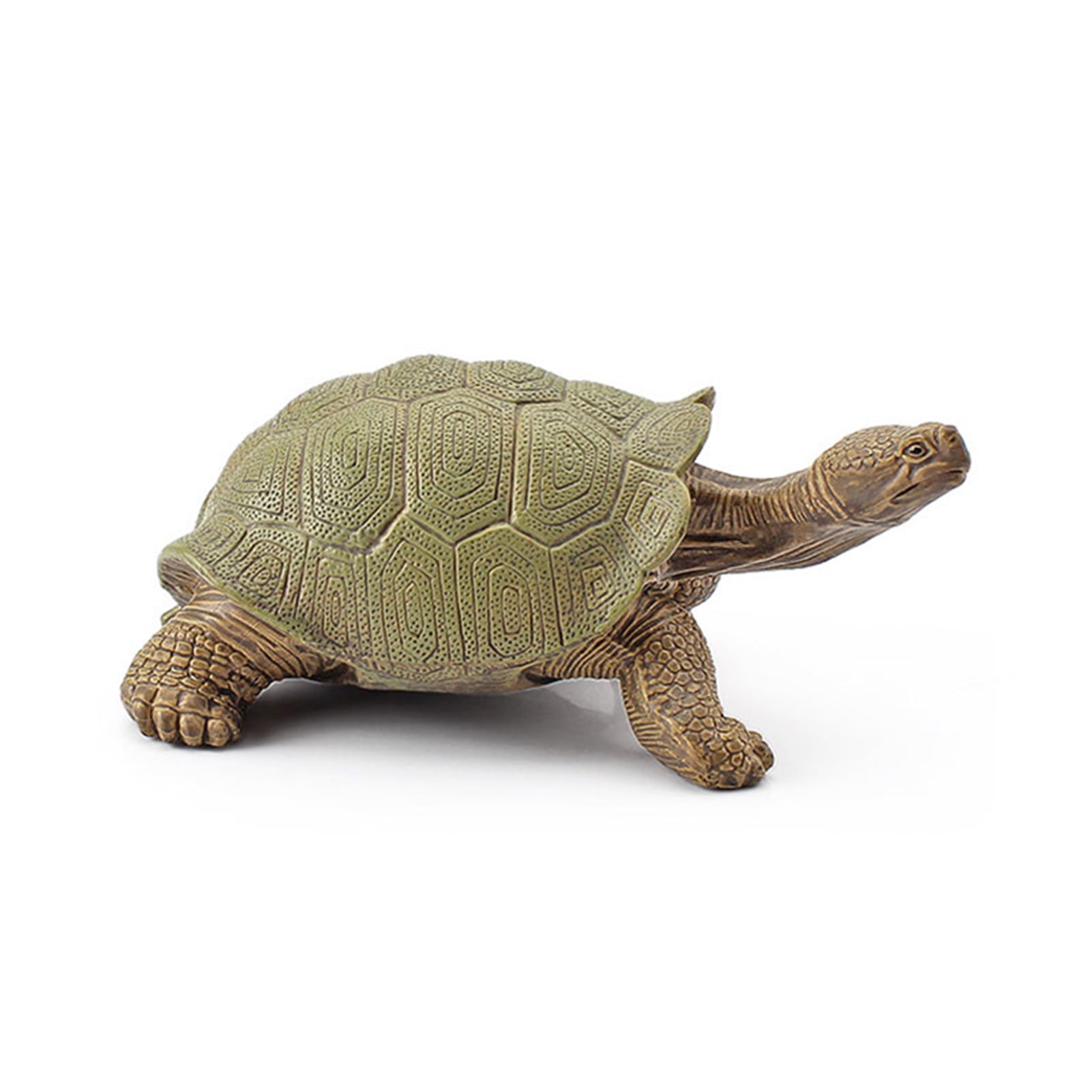 MIRROR Sulcata Tortoise Mold Vivid Clear Texture 3D Effect Sea Ocean ...