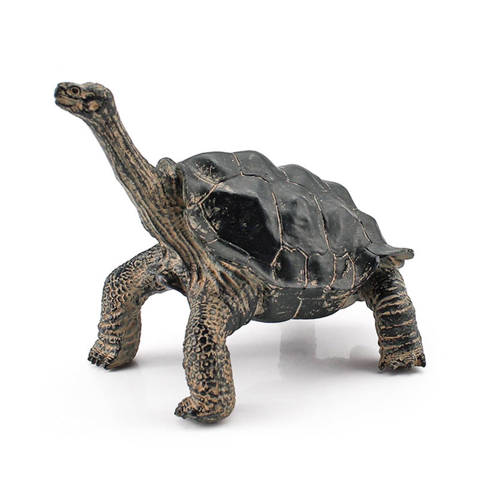 MIRROR Sulcata Tortoise Mold Vivid Clear Texture 3D Effect Sea Ocean ...