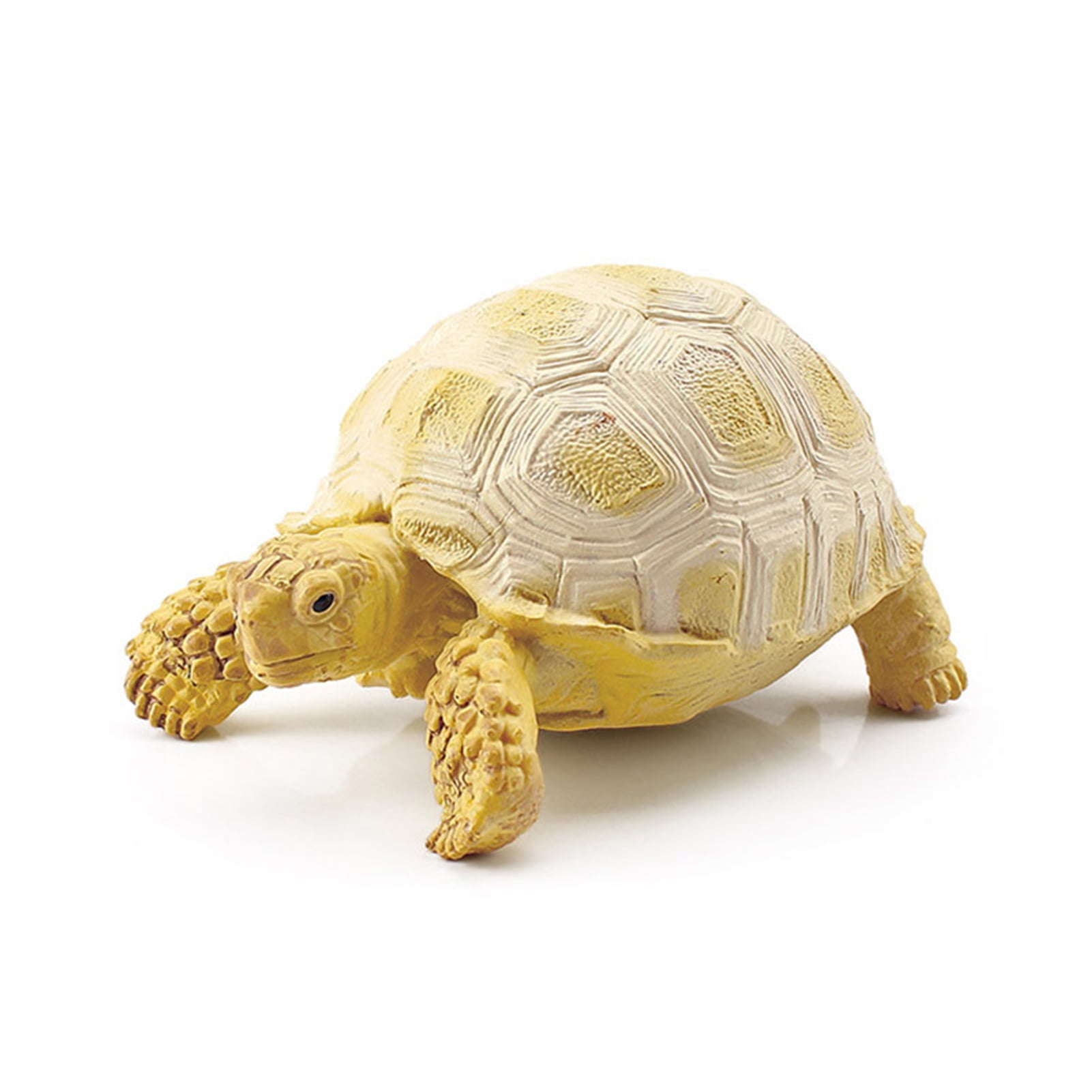 MIRROR Sulcata Tortoise Mold Vivid Clear Texture 3D Effect Sea Ocean ...