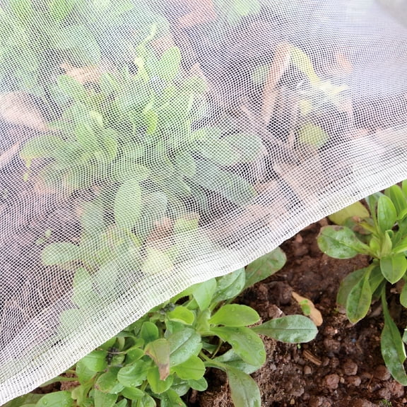 Bug Netting Plants