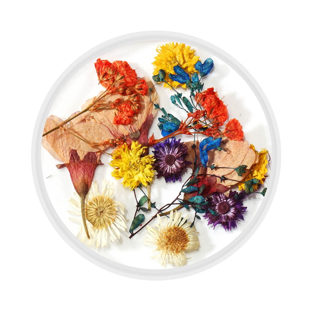 MIUBAGIAL 3D Beautiful Flower Mixed Dried Flowers DIY Bottle Manicure ...