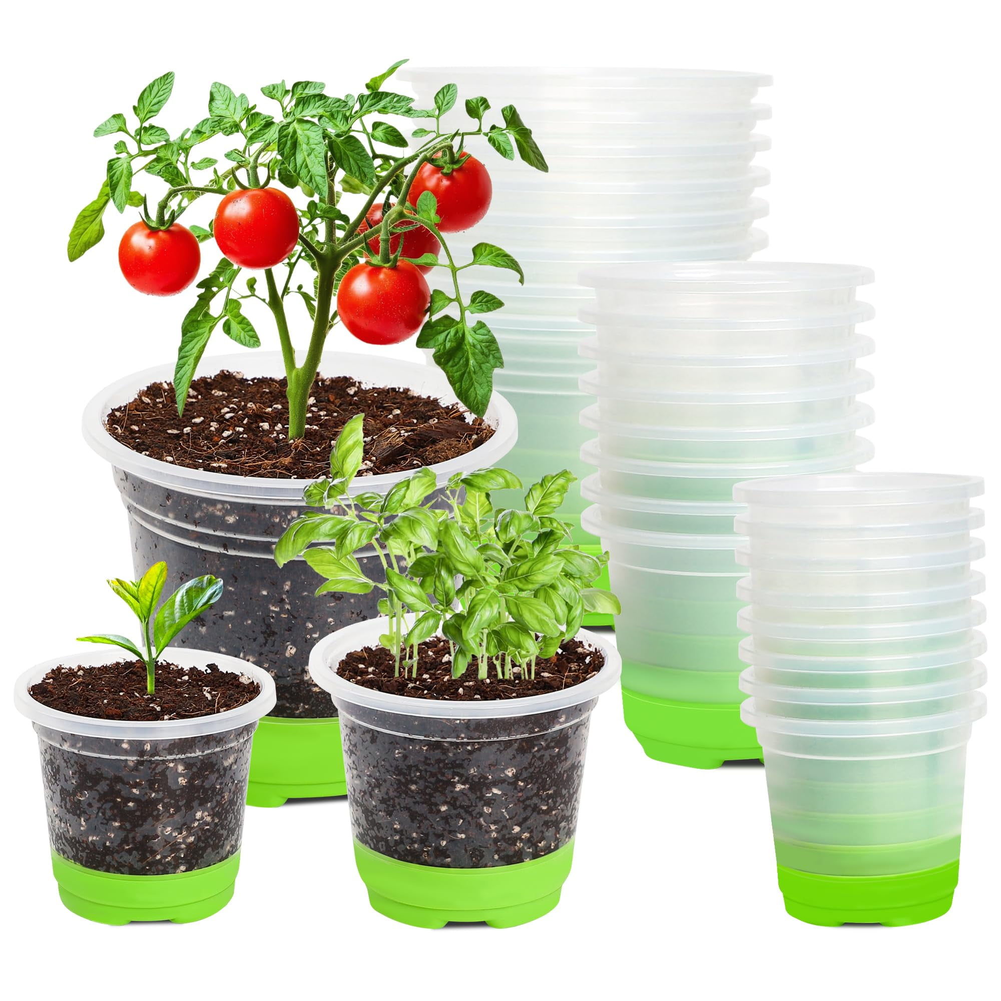 MIXC 24 Packs TWE5 5/4/3.5 Inch Reinforced Nursery Pots with Silicone ...