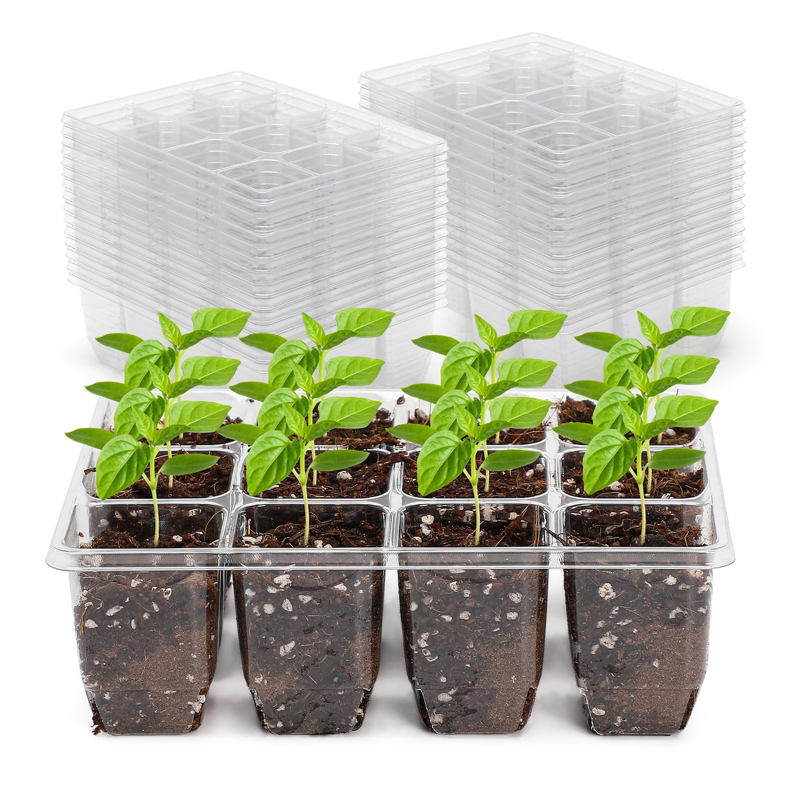 MIXC 360 Cells TWE5 Seedling Starter Trays Transparent Seed Tray Grow ...