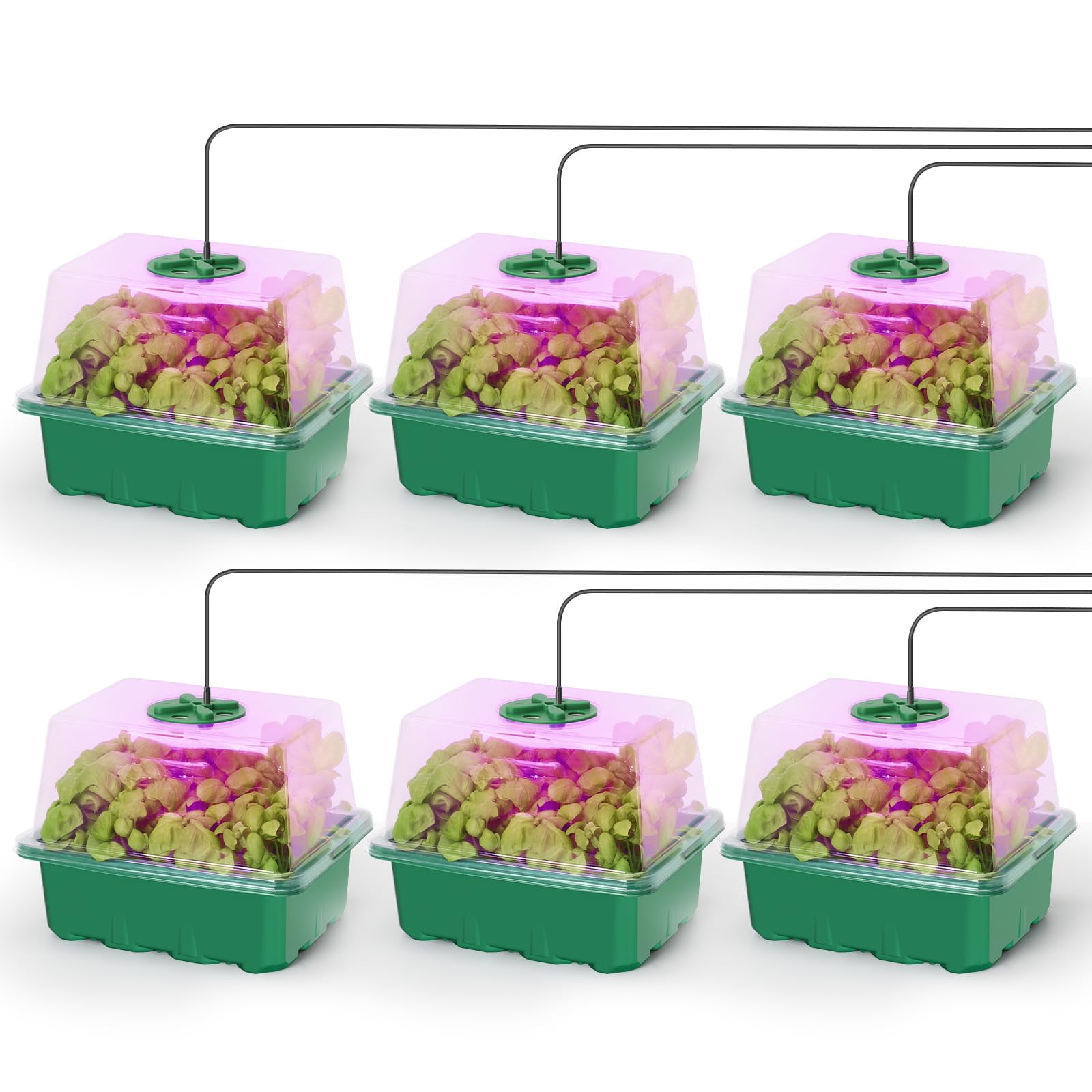 MIXC 6-Pack Seed Starter Tray Kit NSD3 with Plant Light Seedling Trays ...