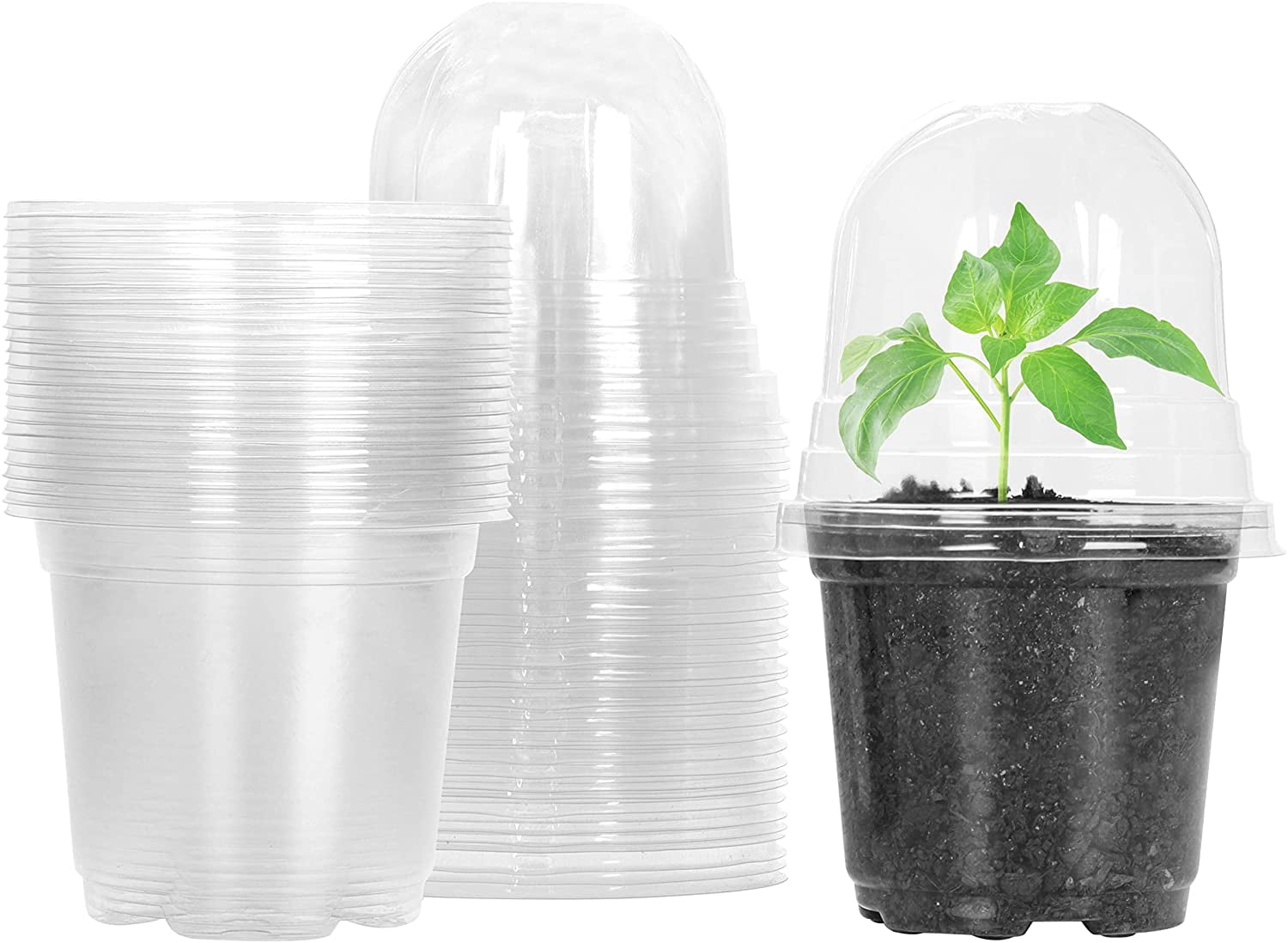 MIXC Clear Plant Nursery Pots with Humidity Dome 4" Soft Transparent ...