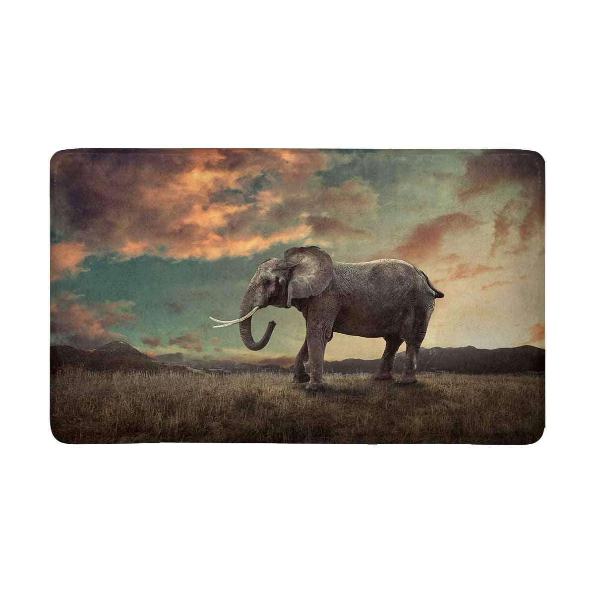 MKHERT Animal Elephant Big Ears Outdoor Under Sunlight Doormat Rug Home ...