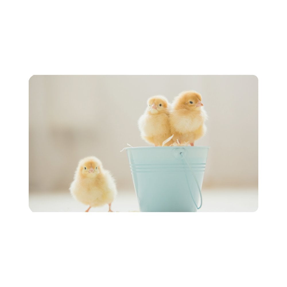 MKHERT Cute Baby Chicks Yellow Little Chicken Doormat Rug Home Decor ...