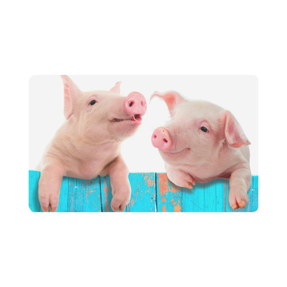 MKHERT Funny Pigs Animal Doormat Rug Home Decor Floor Mat Bath Mat ...