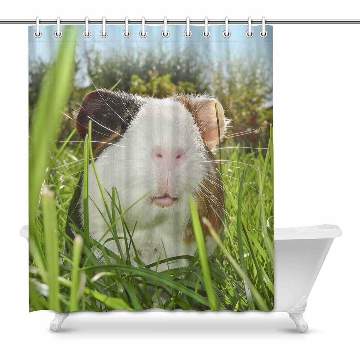 MKHERT Guinea Pig Dutch Rats House Decor Shower Curtain for Bathroom ...