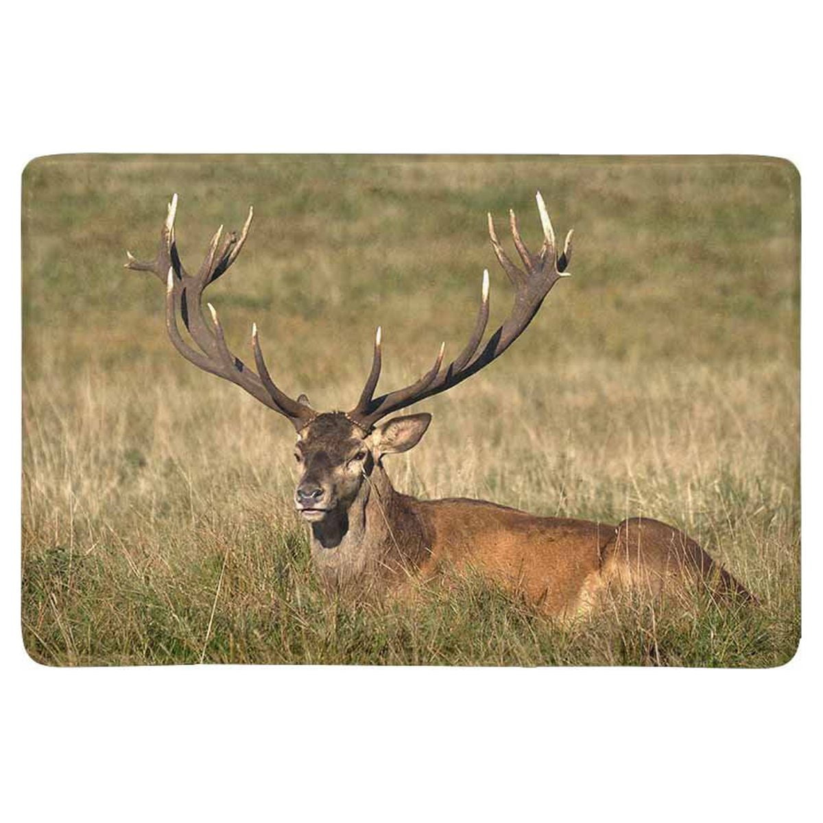 MKHERT Red Deer Old Stag Countryside Rural Hunting Theme Doormat Rug ...