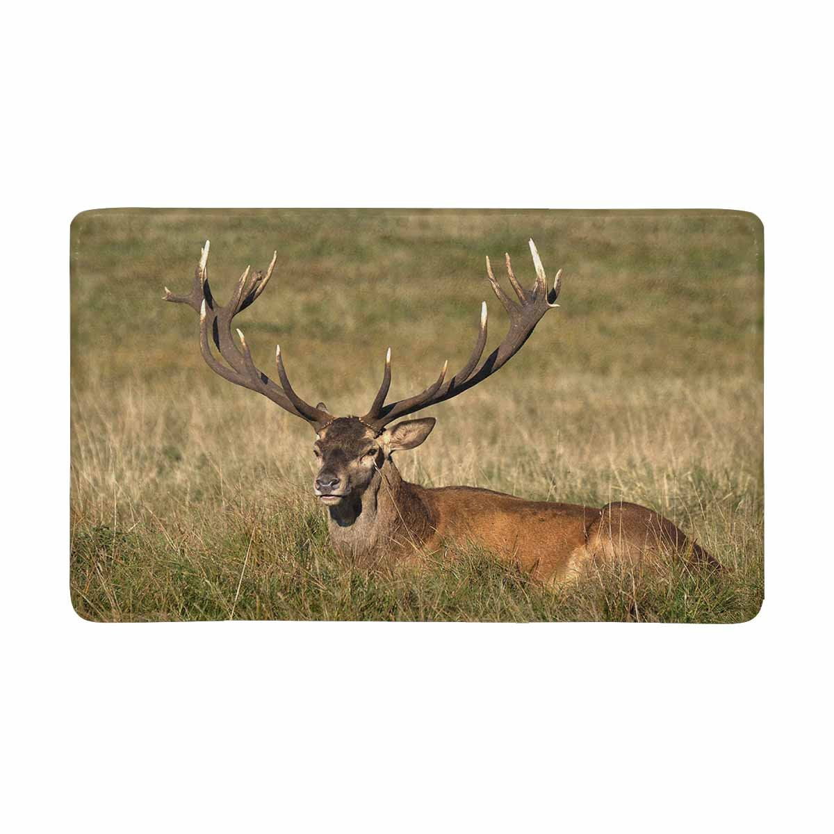 MKHERT Red Deer Old Stag Countryside Rural Hunting Theme Doormat Rug ...