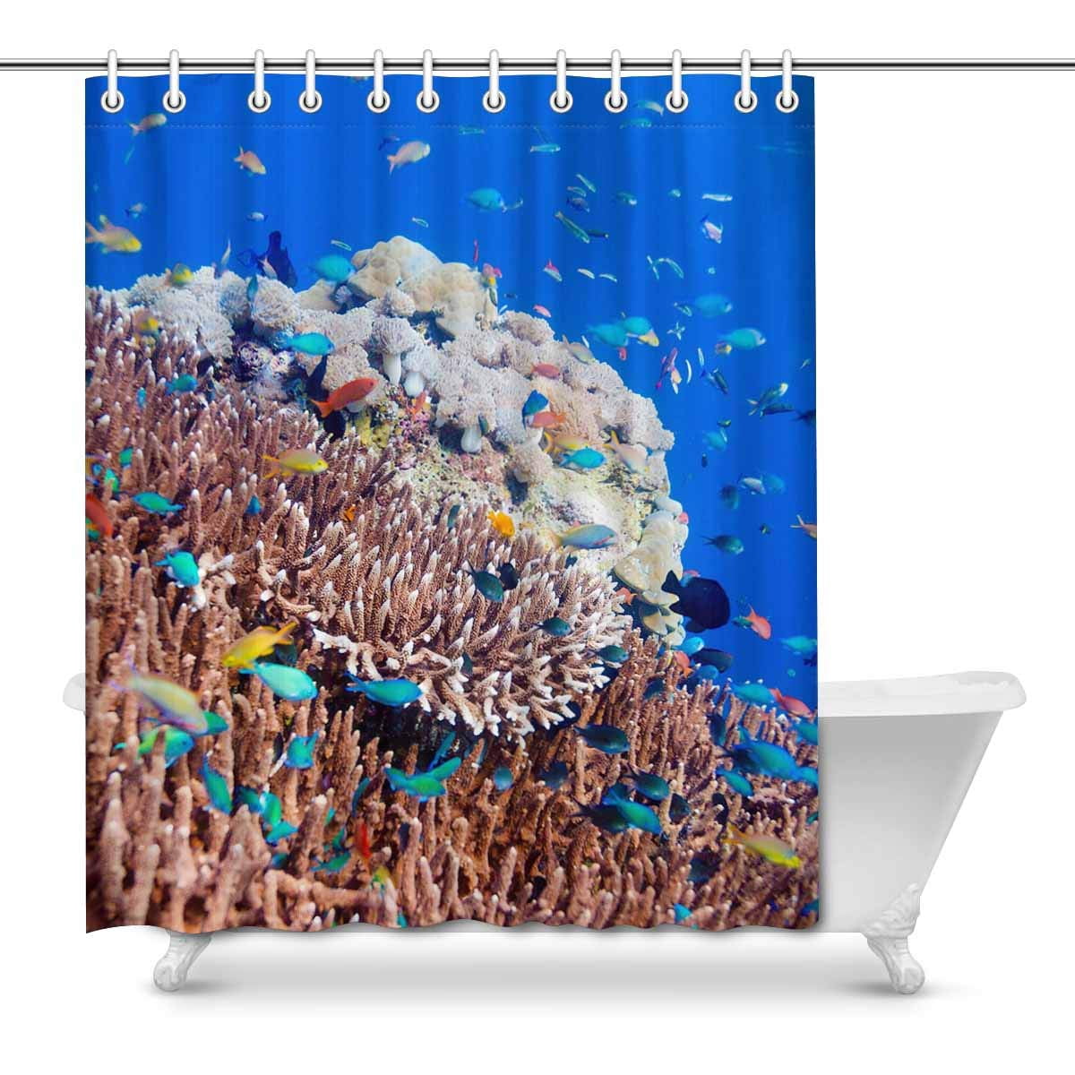 MKHERT Underwater Landscape with Hundreds of Fishes near Tropical Coral ...