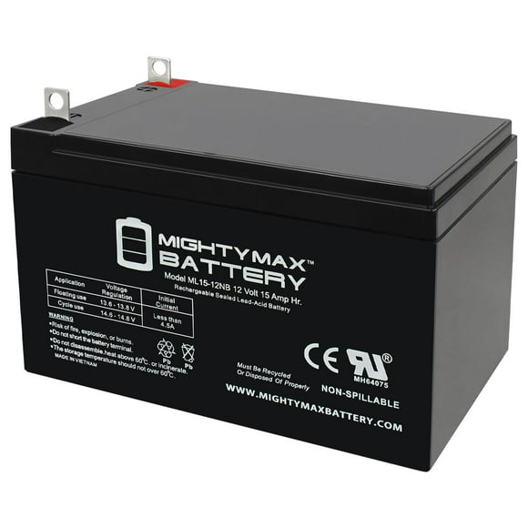 Champion Generator Battery