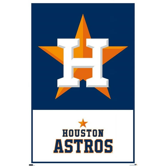 Houston Astros Photo