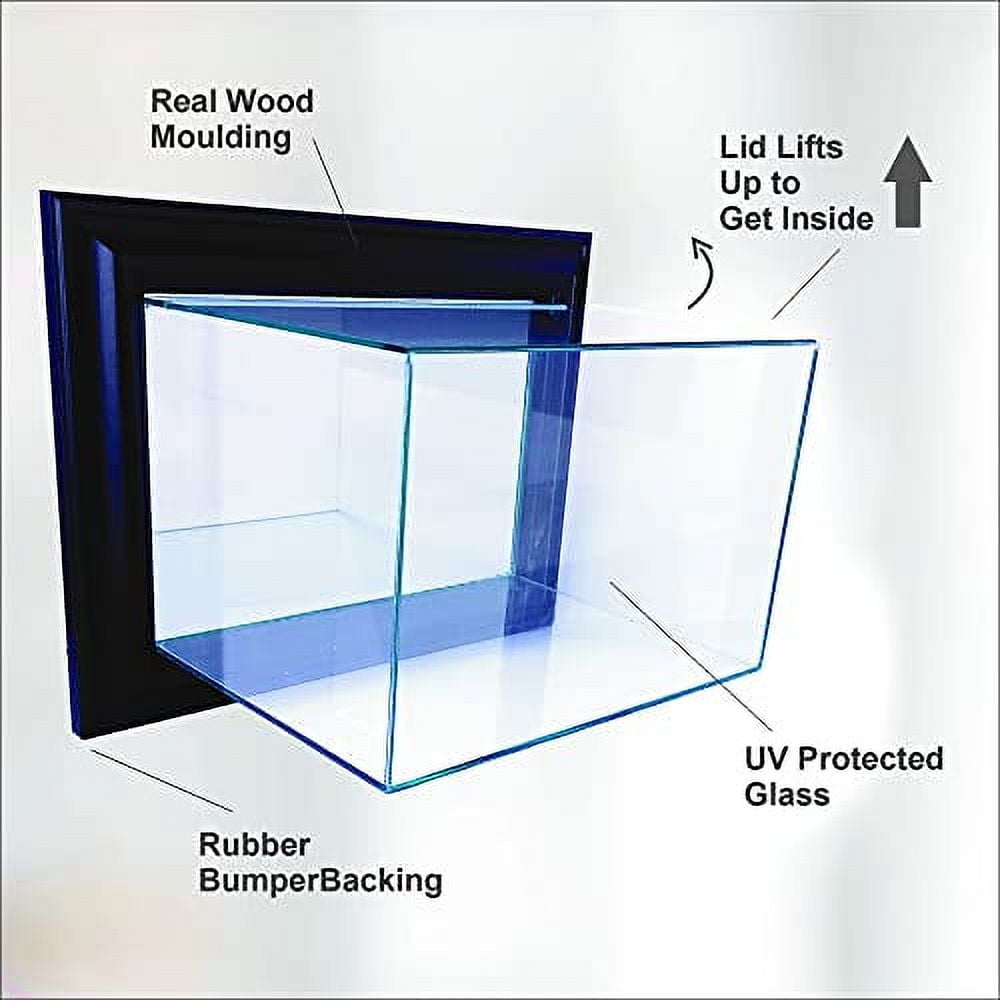 MLB Wall Mounted Triple Baseball Glass Display Case - Walmart.com